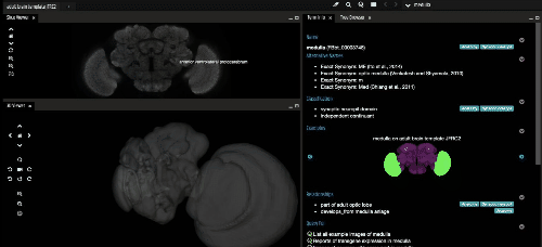 Fix canvas reset when new instances are added to the scene · Issue #204 ...