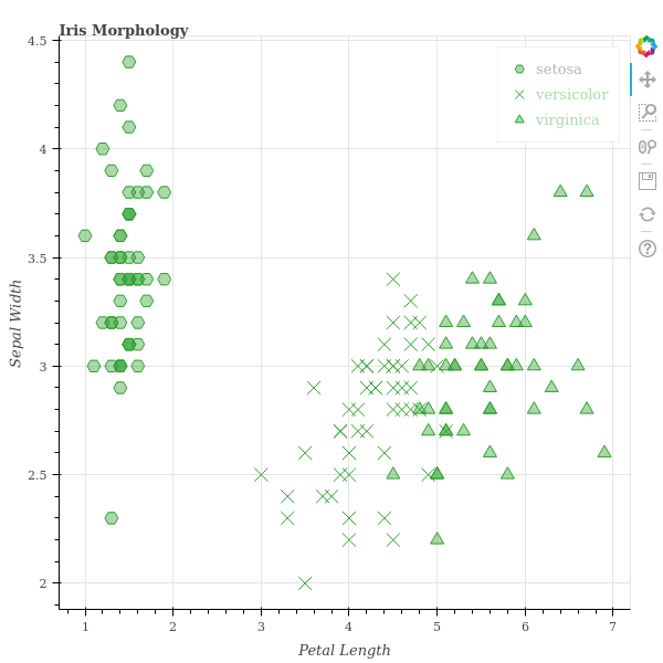 [BUG] ```export_svg``` shifting x-axis upward and overlapping with ...