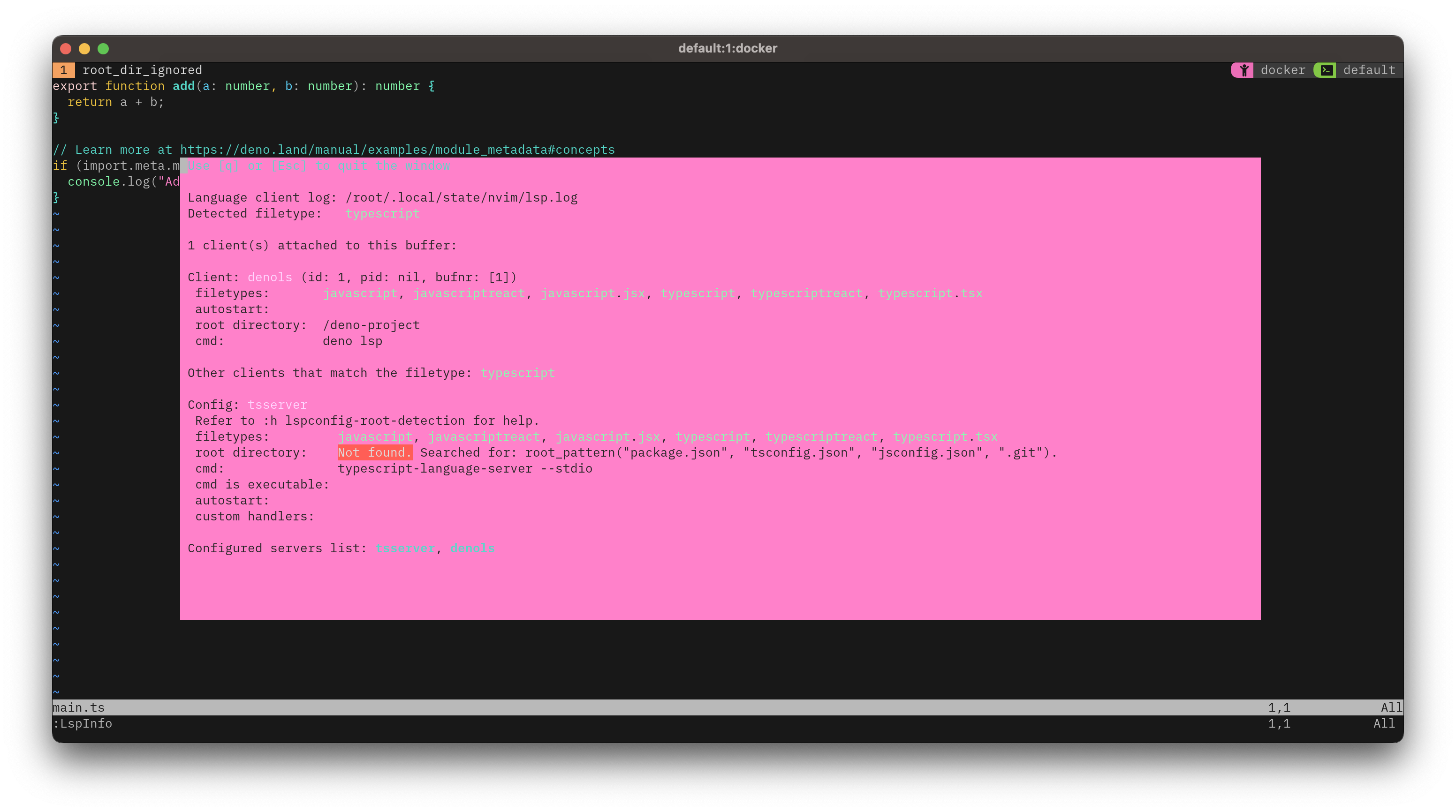 `root_dir` is being ignored · Issue #2273 · neovim/nvim-lspconfig · GitHub