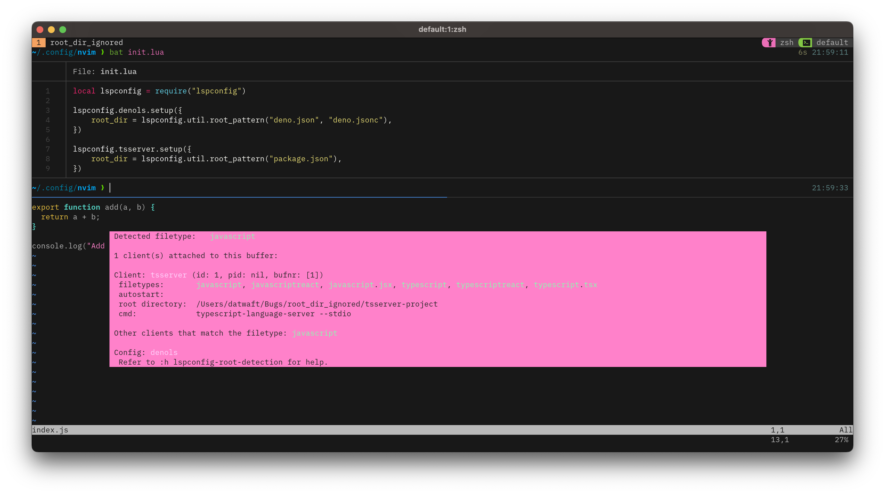 `root_dir` is being ignored · Issue #2273 · neovim/nvim-lspconfig · GitHub