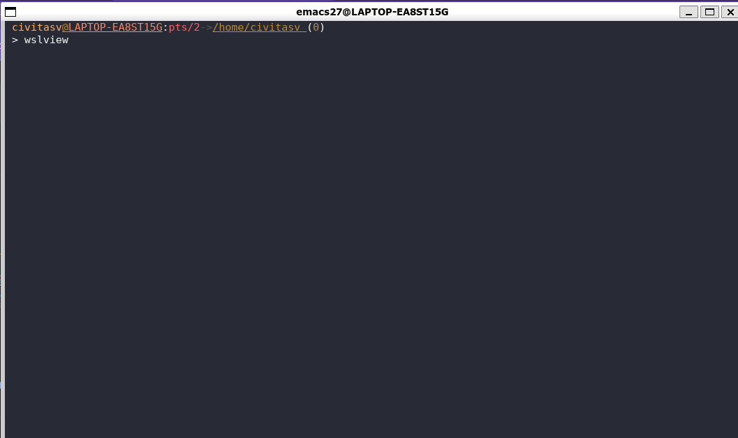 WSL2 GUI Emacs terminal(zsh) sleeping when use **wslview** · Issue #7943 · microsoft/WSL · GitHub