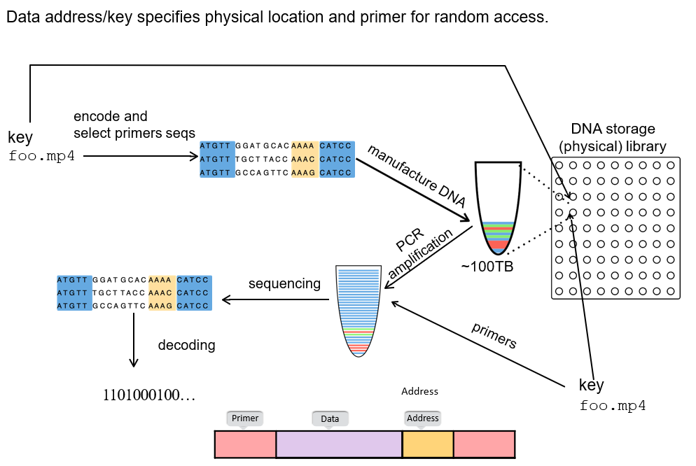 Github Muhammad Dah Dna Storage System