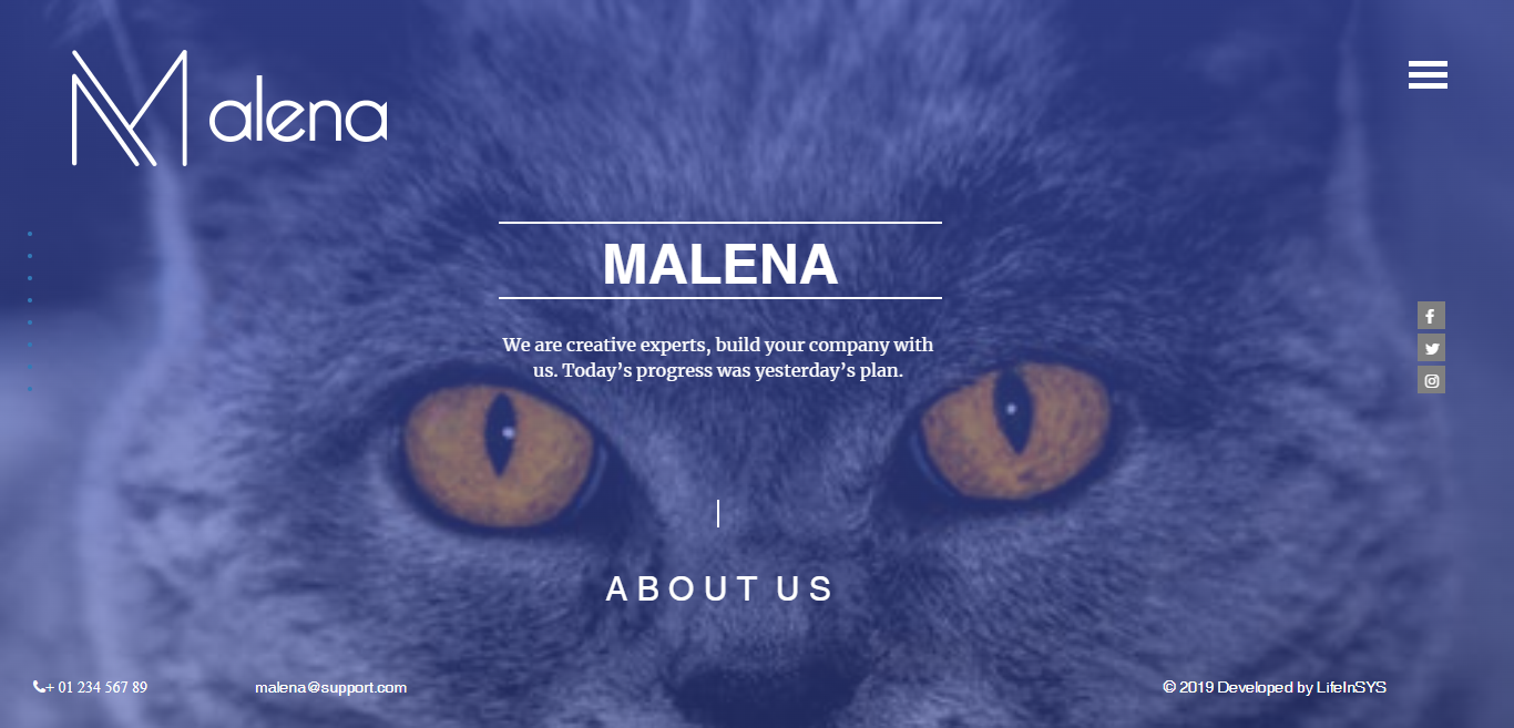 GitHub - asmitap/Malena_UI: Designing