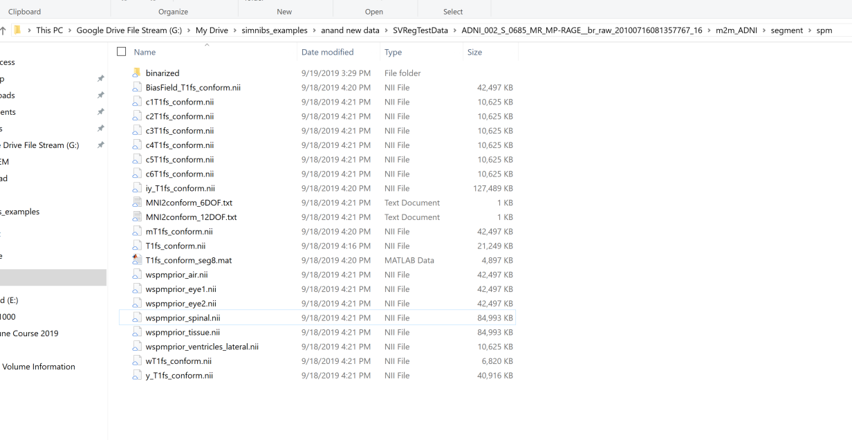 Error with headreco in some cases · Issue #10 · simnibs/simnibs · GitHub