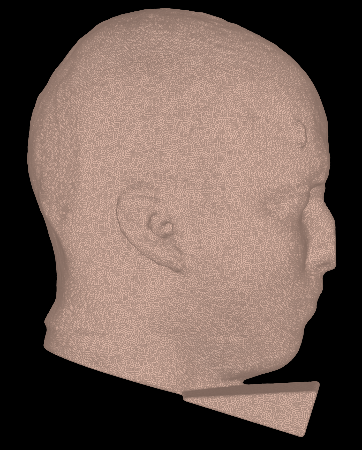 headreco within brainstorm · Issue #20 · simnibs/simnibs · GitHub