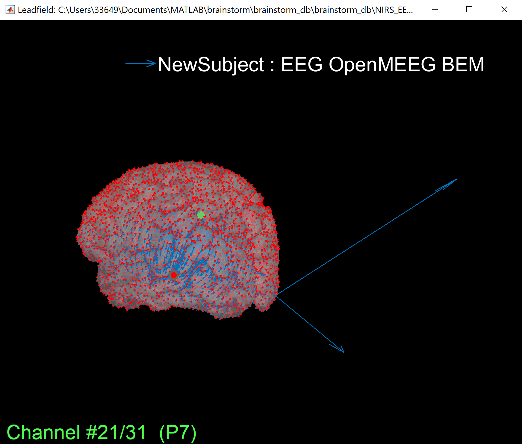Brainstorm-Simbio/DUNEuro implementation · Issue #185 · brainstorm-tools/brainstorm3 · GitHub