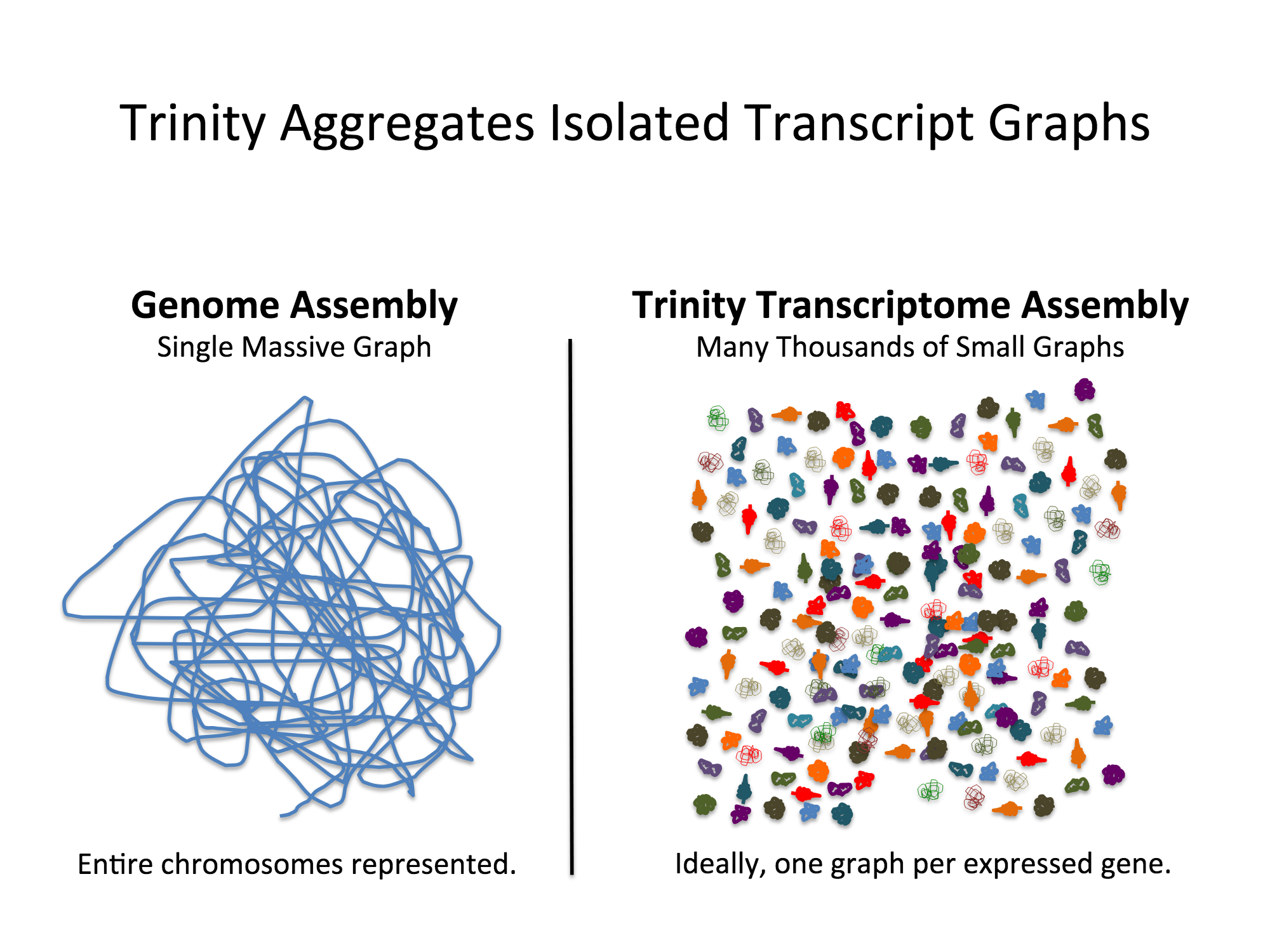 GitHub - evelingonzalezfeliu/Tutorial-Ensamble-de-transcriptomas.