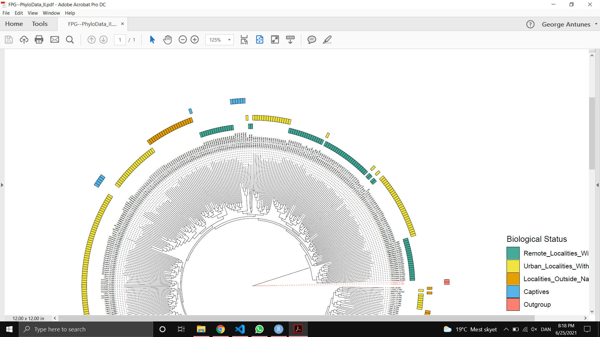 Unaligned Tiles When Having a Circular Tree. · Issue #11 · YuLab-SMU/ggtreeExtra · GitHub