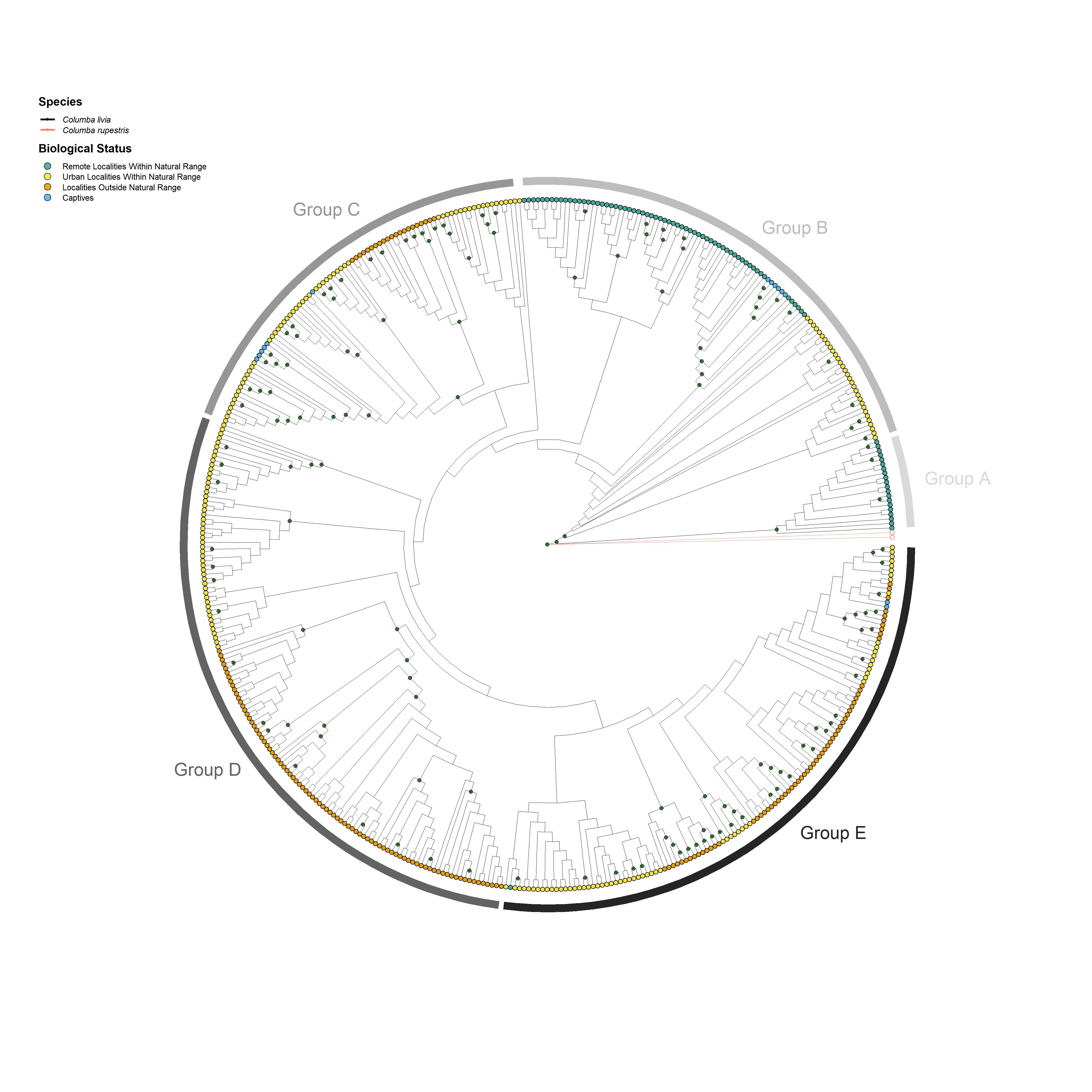 `geom_tippoint` | Do Nothing When NA. · Issue #458 · YuLab-SMU/ggtree · GitHub