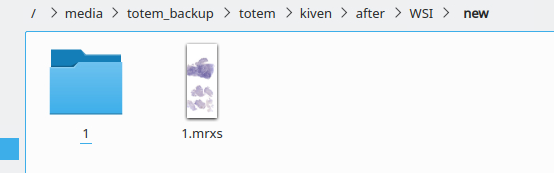 WSI predicts problems · Issue #151 · vqdang/hover_net · GitHub