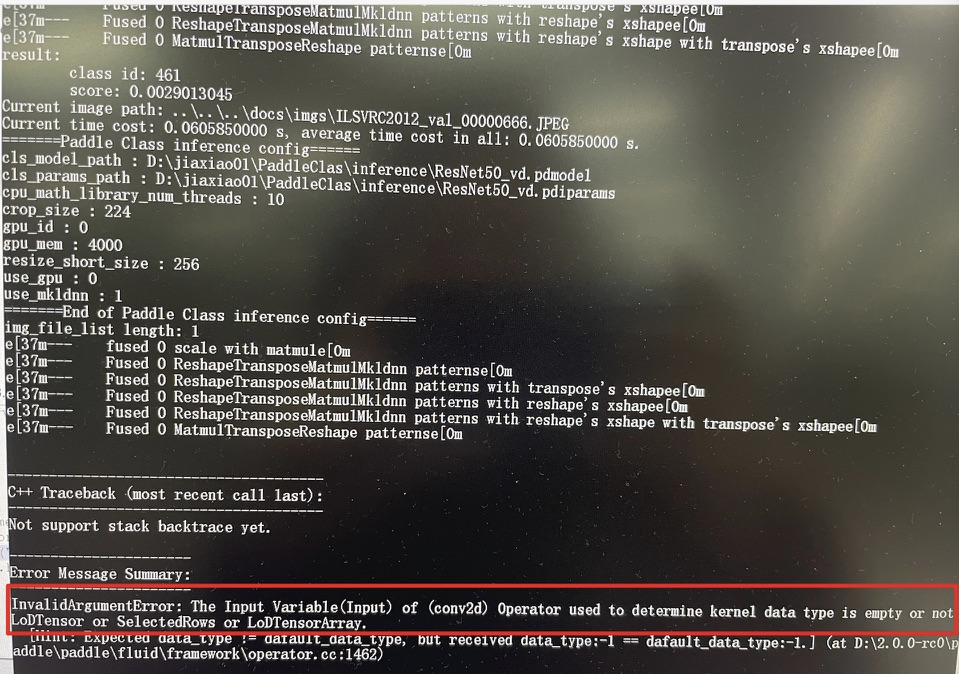 Use Mkldnn To Predict On Windows Some Models Report Errors · Issue 4346