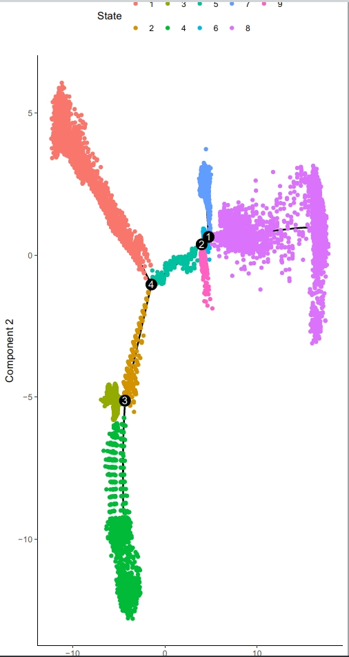 What is the significance of the branch point number size? · Issue #231 · cole-trapnell-lab ...