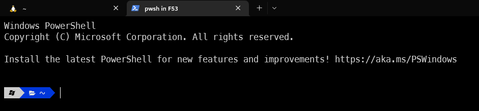 Remove first newline on start and clear when `"newline": true` · Issue #3388 · JanDeDobbeleer/oh ...