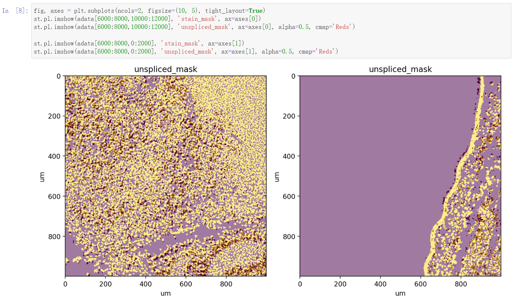 Issues when running the refactor segmentation code · Issue #49 · aristoteleo/spateo-release · GitHub