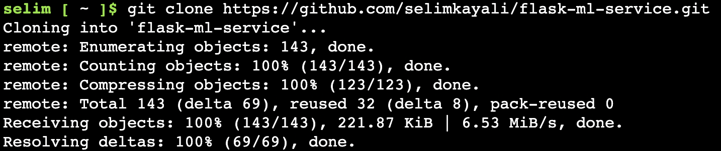 GitHub - selimkayali/flask-ml-service