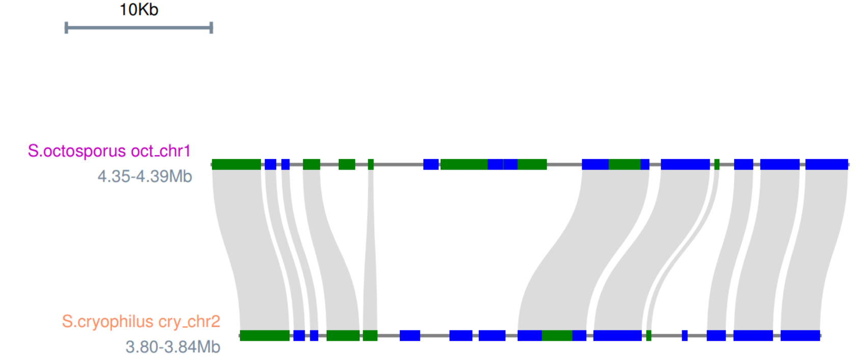 Add gene ID on local synteny · Issue #209 · tanghaibao/jcvi · GitHub
