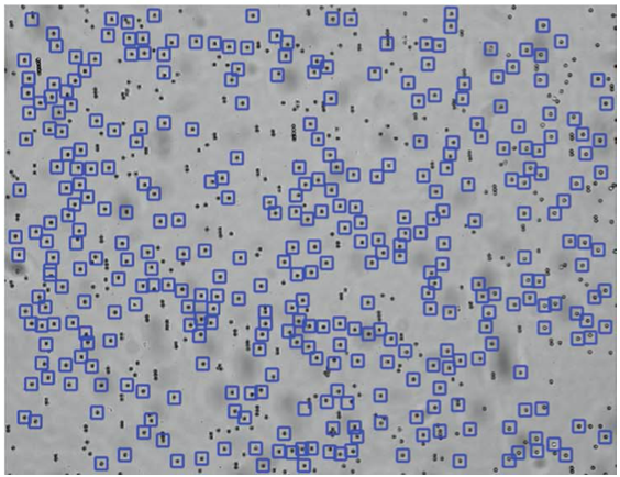 project1 · Issue #4 · forestspike/Home · GitHub