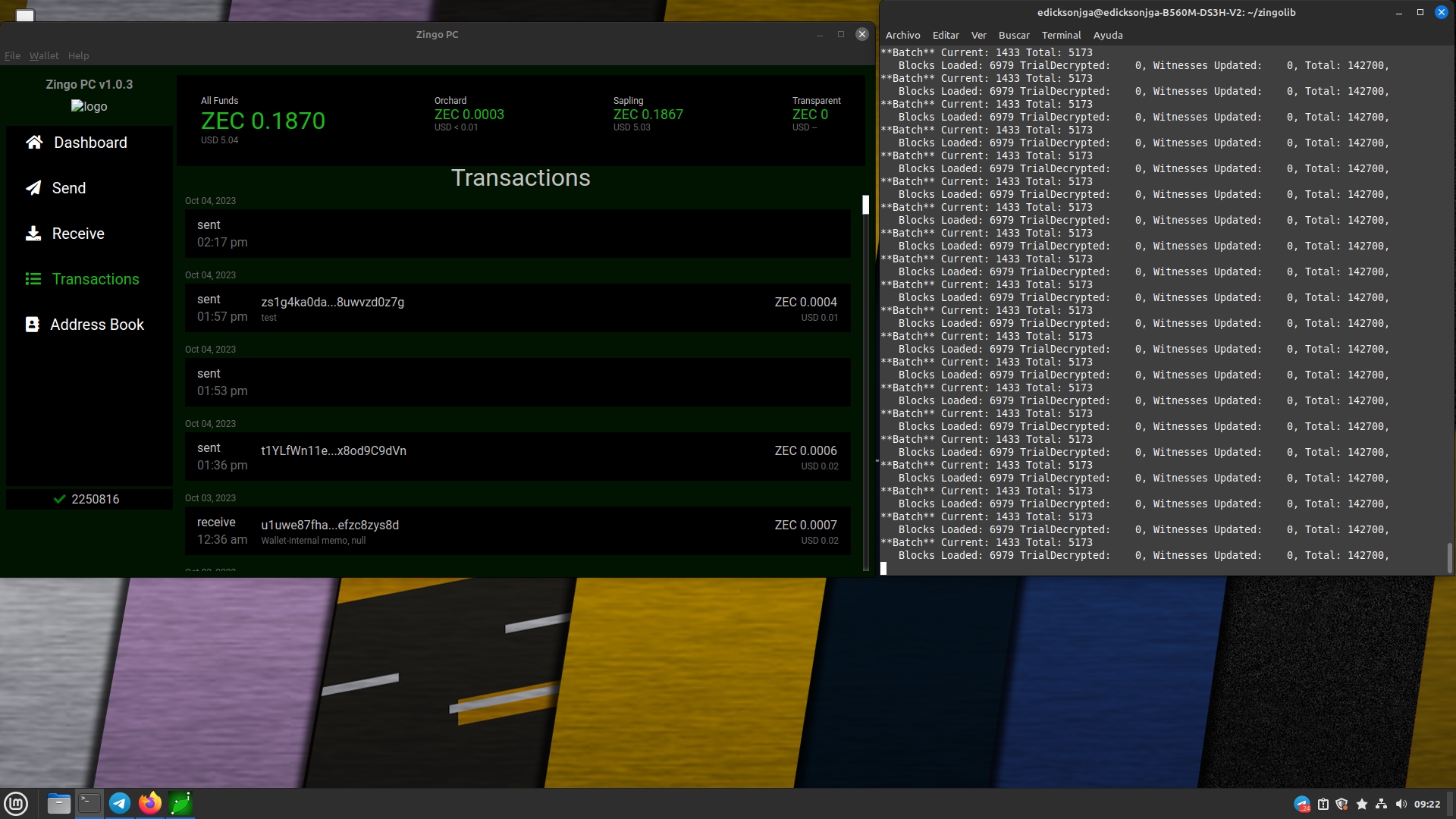 Wrong balance on sapling - unstable connection · Issue #572 · zingolabs/zingolib · GitHub