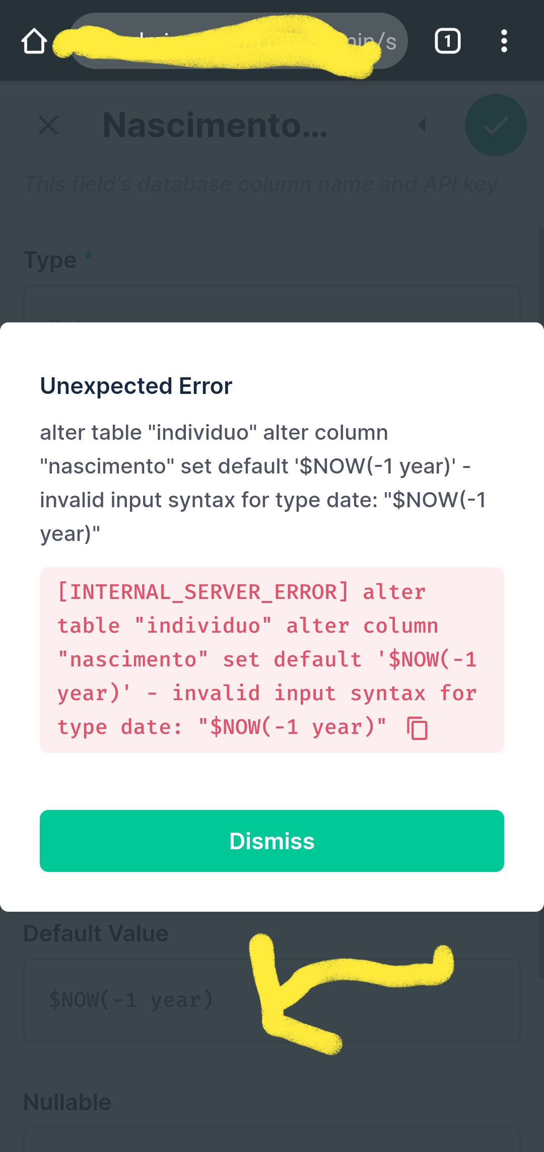 INTERNAL_SERVER_ERROR when try to use $NOW( ) $NOW(-1 year), $NOW(+2 hours) · Issue #7280 ...