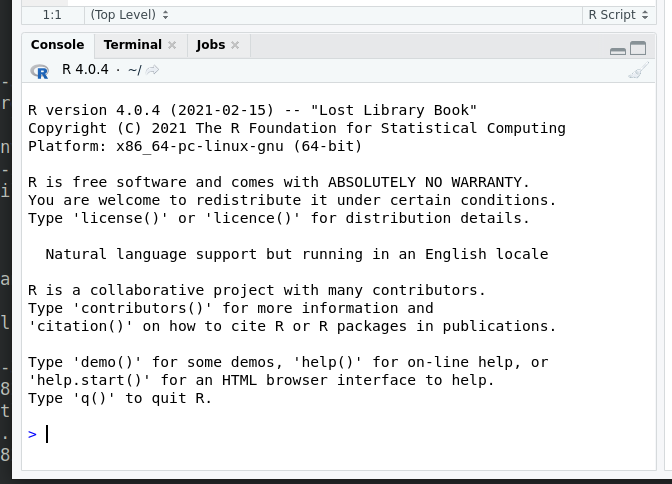 R Console font is Serif on Ubuntu 20.04 · Issue #10939 · rstudio ...