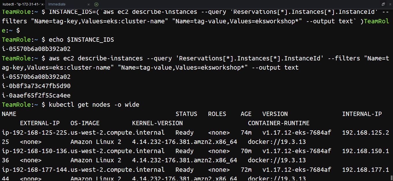 Configure CNI - command not correct · Issue #1165 · aws-samples/eks-workshop · GitHub