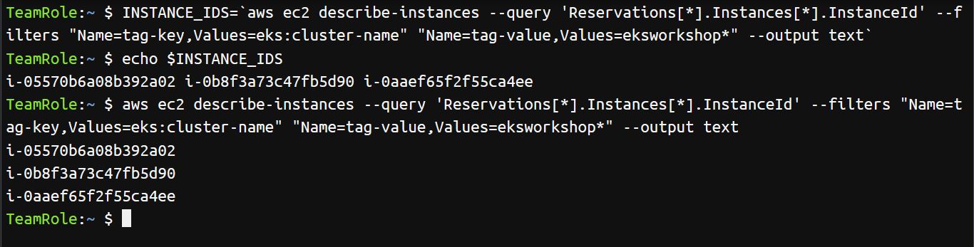 Configure CNI - command not correct · Issue #1165 · aws-samples/eks-workshop · GitHub