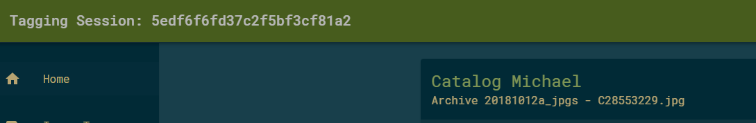 remove the tag session ID · Issue #81 · UNCG-DAISY/Coastal-Image-Labeler · GitHub