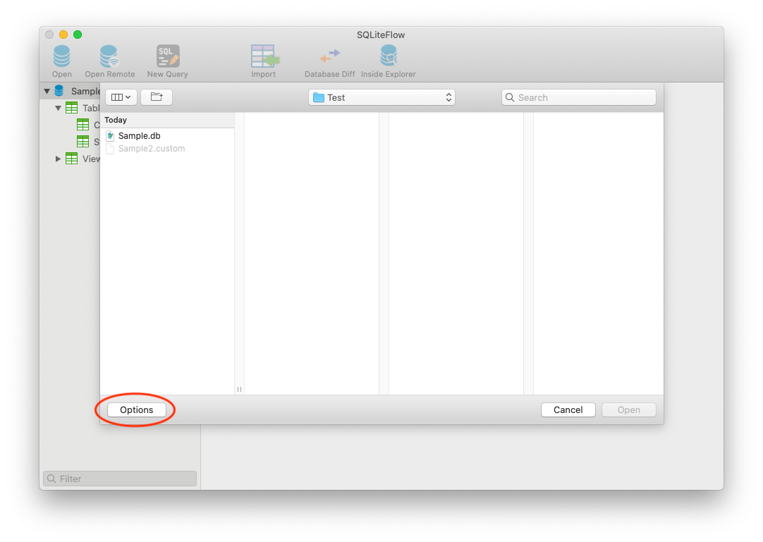 [macOS] Add an option 'Allow select all file types' to Open Database panel to allow user opening ...