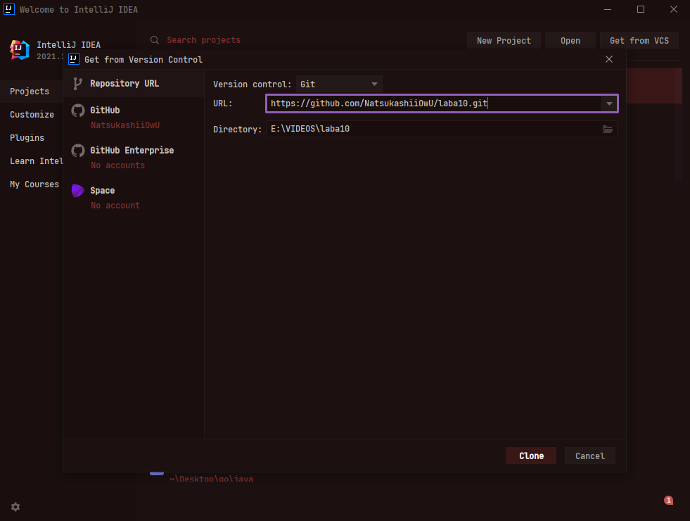 GitHub - NatsukashiiOwU/laba10