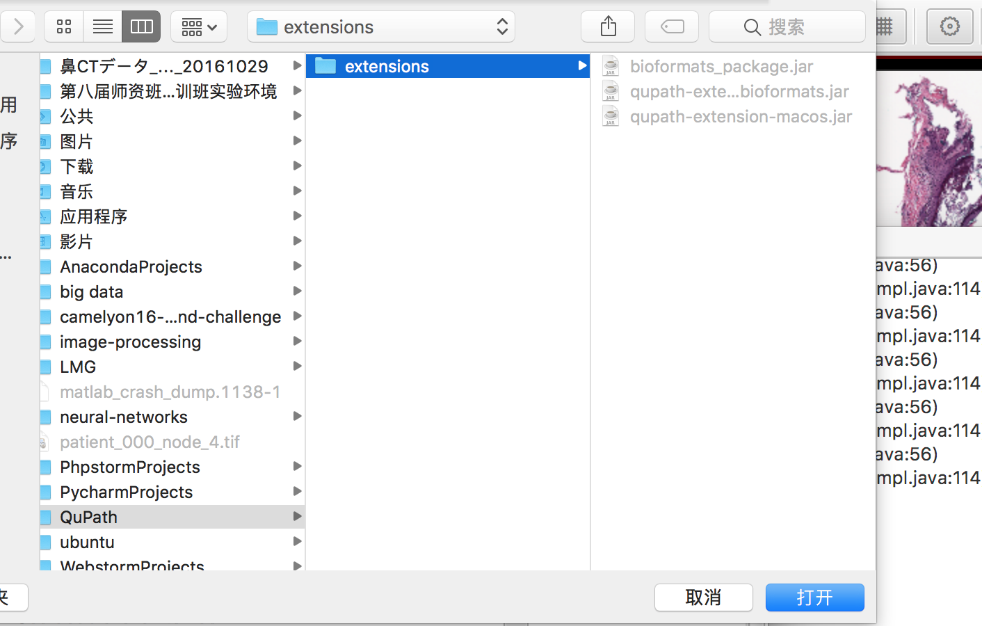 support tif with more than 1GB? · Issue #156 · qupath/qupath · GitHub