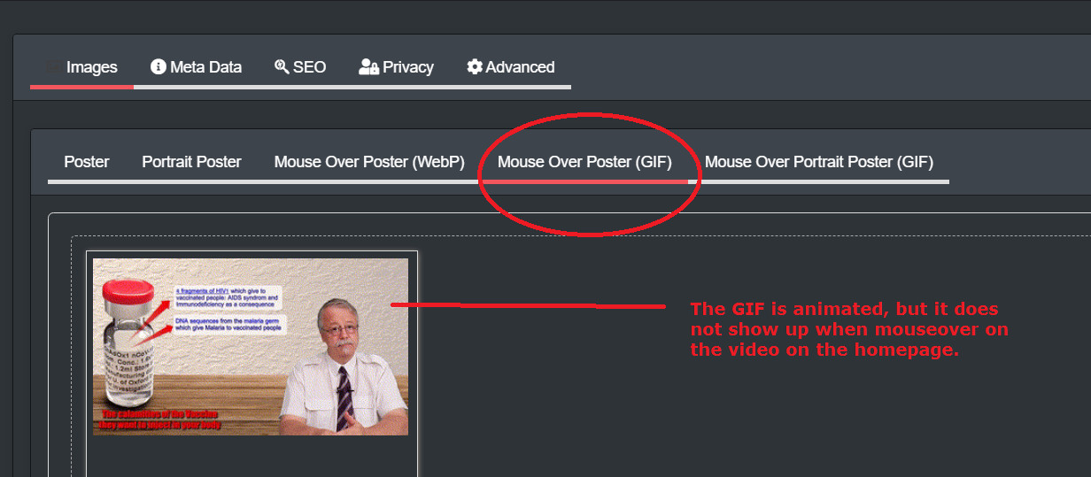 About animated GIFs when MouseOver and plugin MP4ThumbsAndGif · Issue #8216 · WWBN/AVideo · GitHub