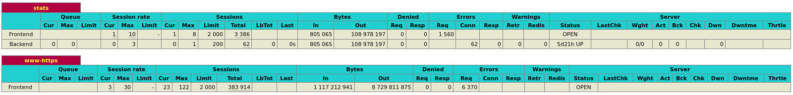 Weight seems to be ignored in server-template · Issue #1910 · haproxy/haproxy · GitHub
