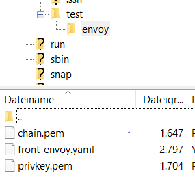 tls_context error initializing configuration "invalid path: /etc/..." · Issue #7698 · envoyproxy ...