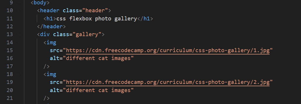 GitHub - EaswaranPottiK/Assignment6FlexboxPhotoGalleryApp