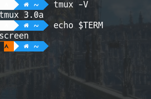 tmux os_icon color/invisible · Issue #446 · romkatv/powerlevel10k · GitHub