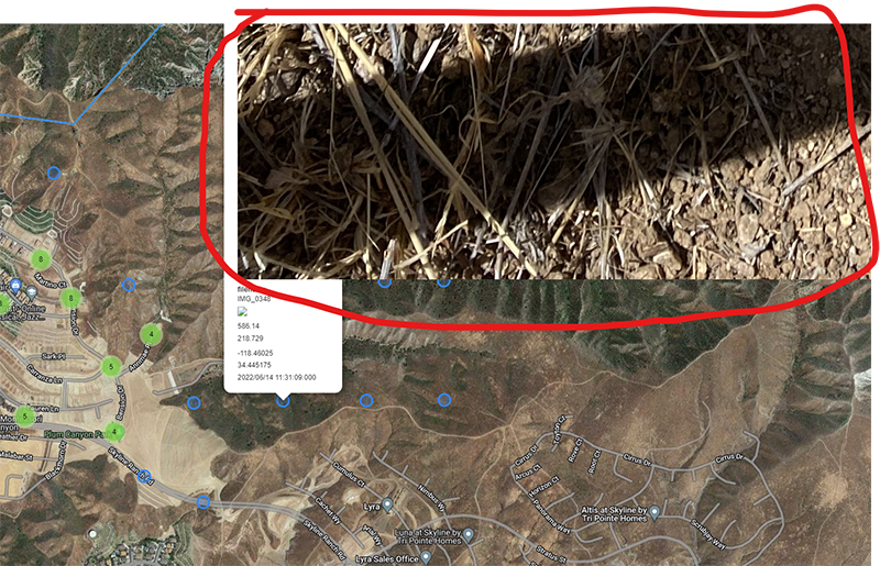 Geolocated pictures show full size and get truncated · Issue #1003 ...