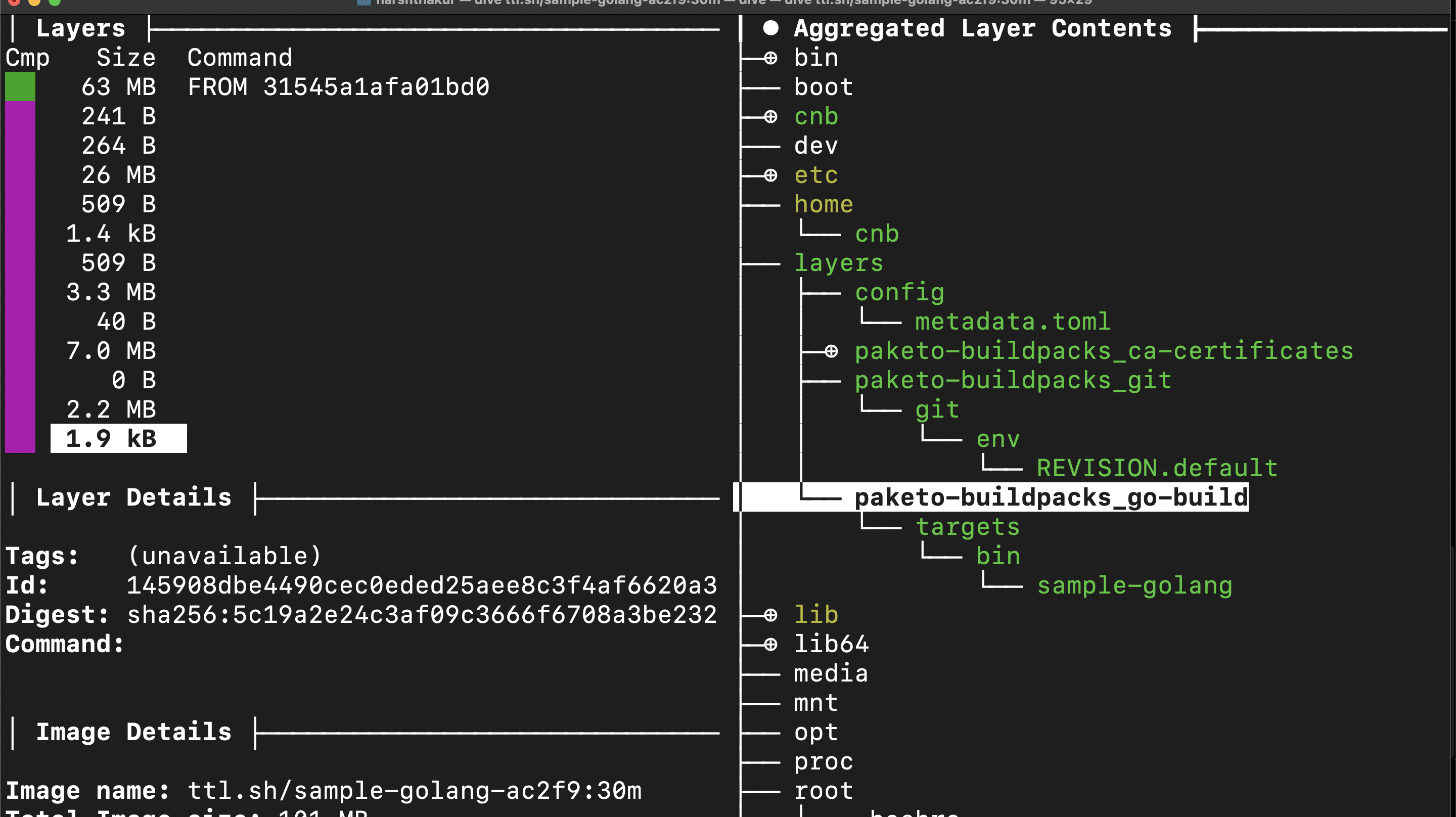 SBOM not being generated · Issue #381 · paketo-buildpacks/go-build · GitHub