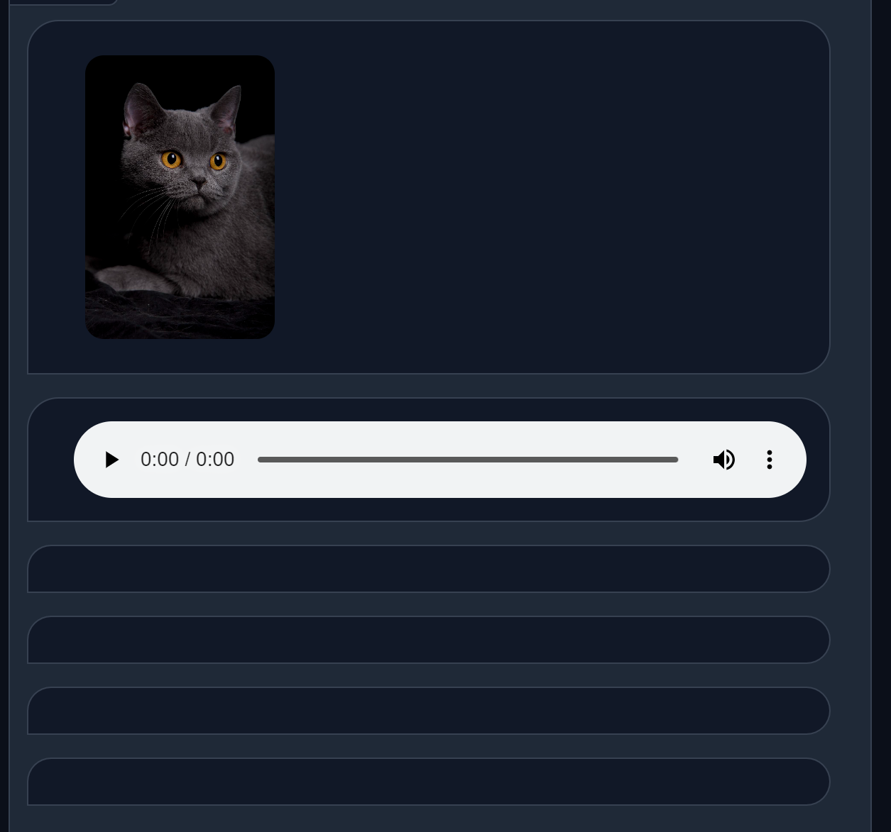 Chatbot does not show PDF file · Issue #4667 · gradio-app/gradio · GitHub