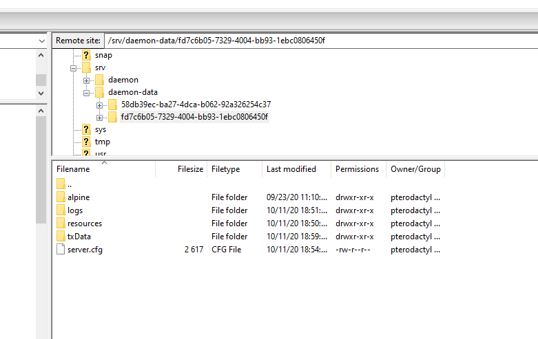 Confused regarding the server data folder in txAdmin for FiveM · Issue #731 · pelican-eggs/eggs ...