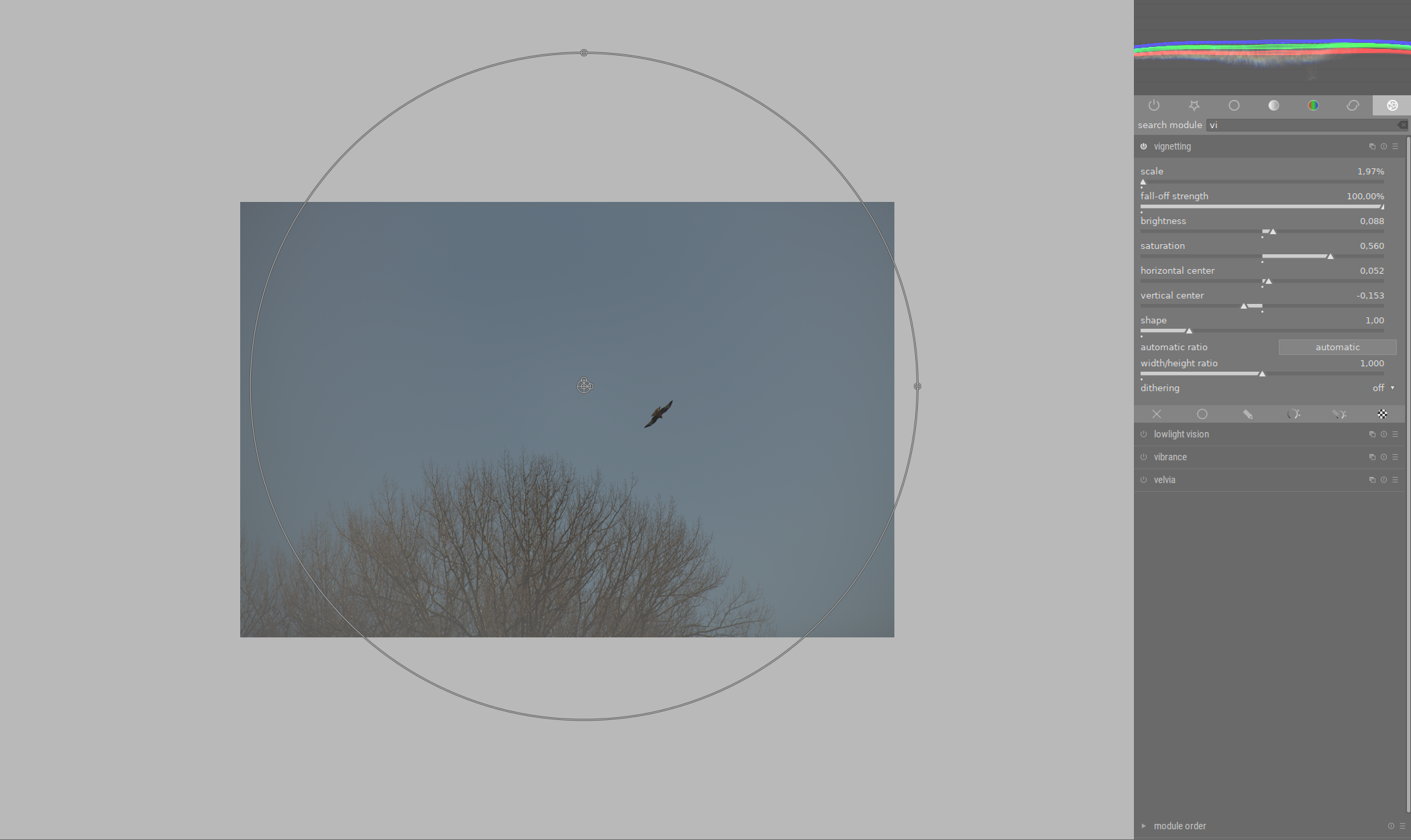 Add Manual Vignetting Correction · Issue 4578 · Darktable Orgdarktable · Github