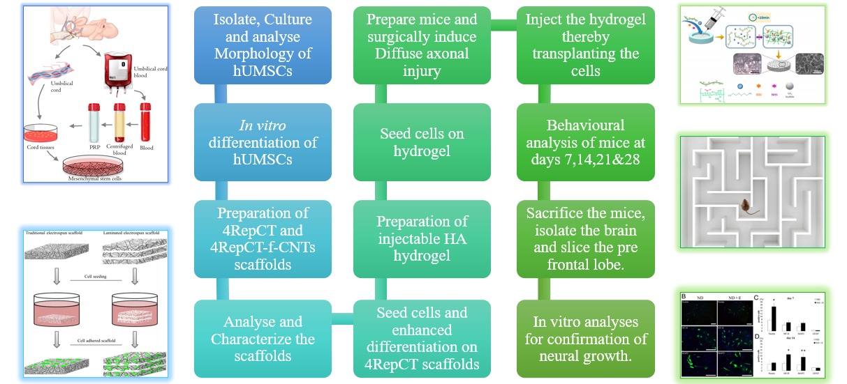 GitHub - Sahana-Gangadharan/Tissue_Engineering: Assignments and Course ...