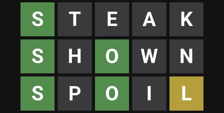 GitHub - PolymorphicPanther/wordle-wizard