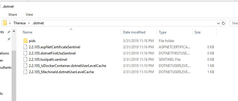 I Can T Seem To Find This File Pages Index Cshtml On Windows Pc · Issue 2531 · Dotnet Core