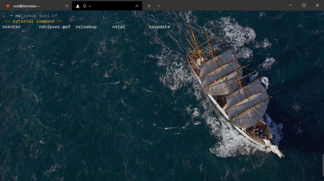 请问一下大佬！使用zsh配置后，TAB提示需要运行很久怎么办呀！ · Issue #25 · skywind3000/vim · GitHub