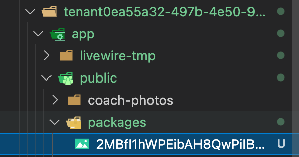 Filesystem related issues · Issue #785 · archtechx/tenancy · GitHub