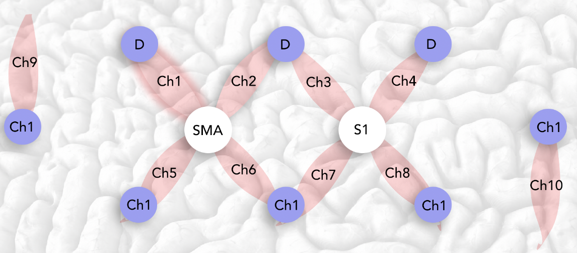 GitHub - ale-rocha/DCM-fNIRs: This is a replic of the work "Dynamic ...
