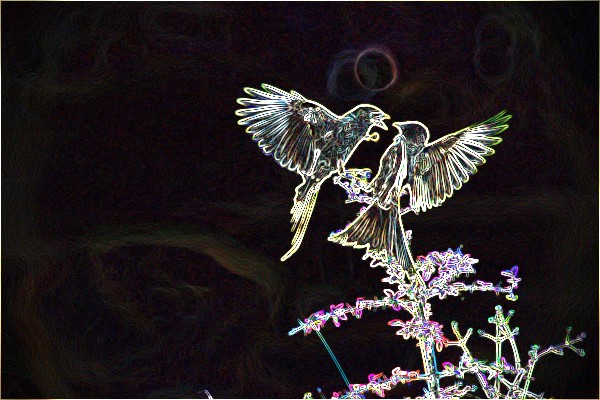 Strange behaviour when capturing 2 bool values · Issue #370 ...