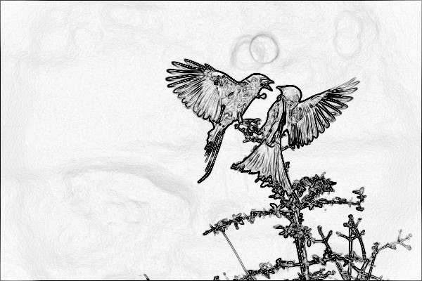 Strange behaviour when capturing 2 bool values · Issue #370 ...