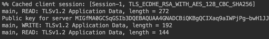 GitHub - lizaibeim/secure-payment-system: A Java implementation of SSL ...