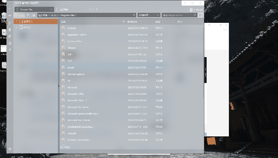 一段时间后程序卡死 · Issue #315 · zhuxb711/RX-Explorer · GitHub